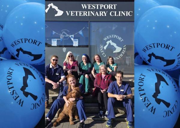 Westport Veterinary Clinic, Linlithgow, South Queensferry & Edinburgh